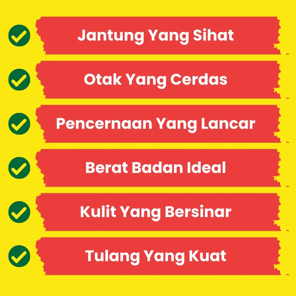 Evoo Sihate – 3 Serangkai Sihate Shop Solusi 3 Serangkai – Pyorsihate