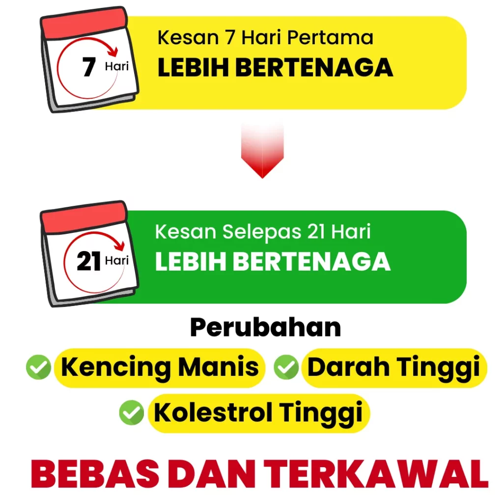 Evoo Sihate – 3 Serangkai Sihate Shop Solusi 3 Serangkai – Pyorsihate