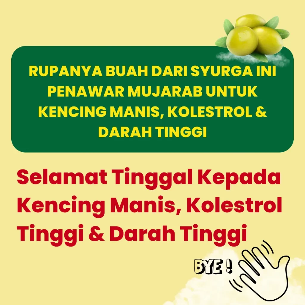 Evoo Sihate – 3 Serangkai Sihate Shop Solusi 3 Serangkai – Pyorsihate